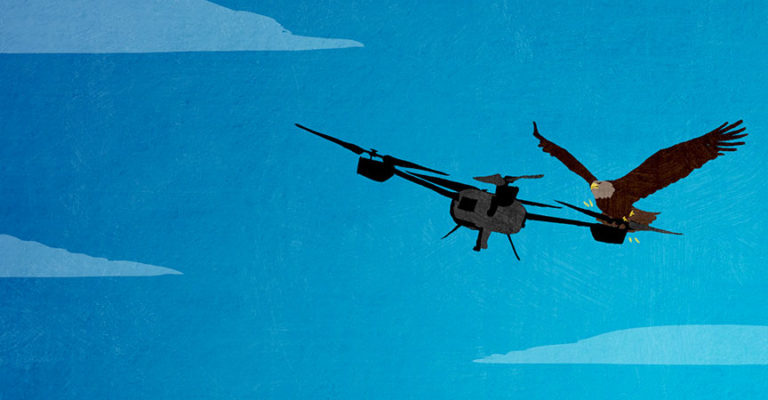 8 Common Sense Tips to Avoid Drone Disasters